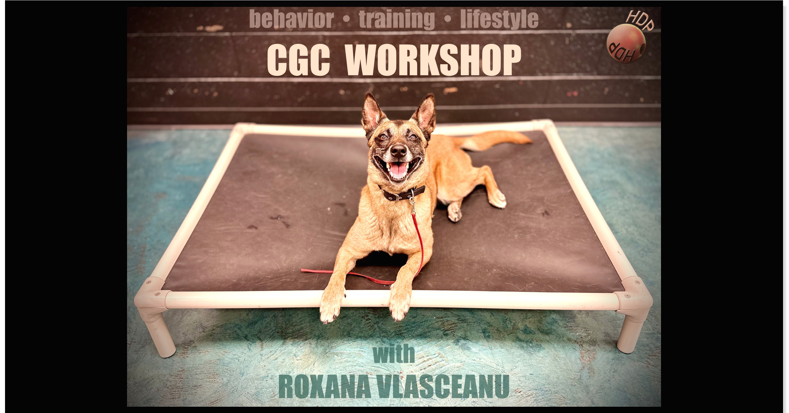 CGC Training and Testing - HDP K9