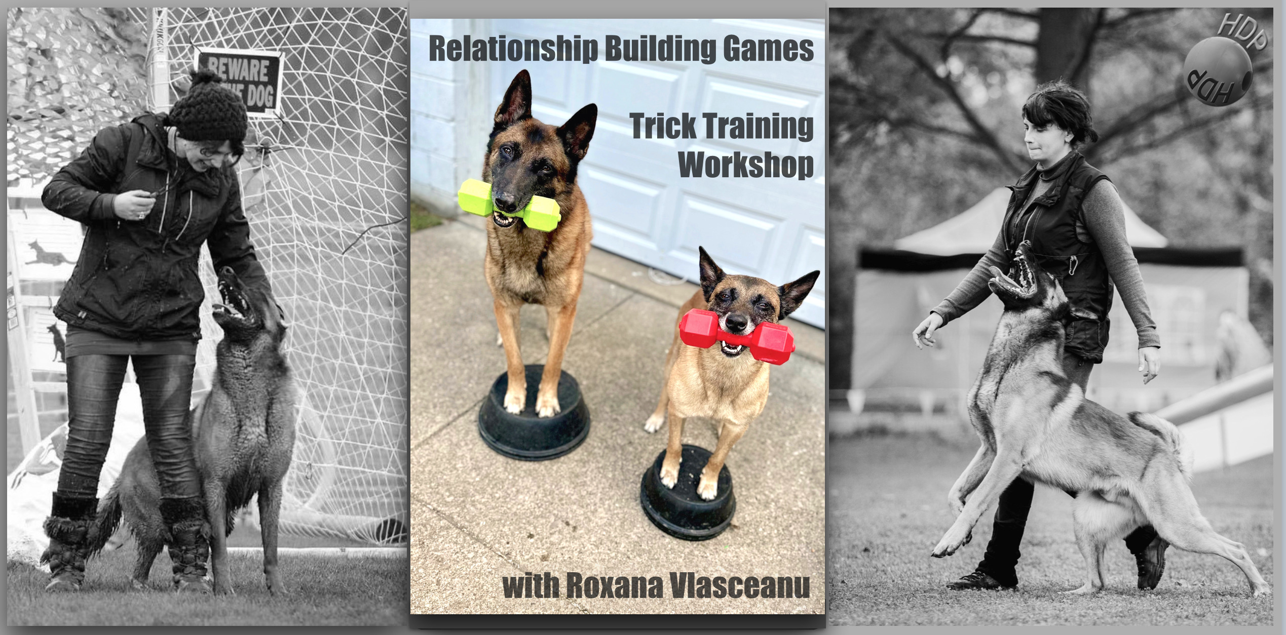 Trick Training Workshop - HDP K9